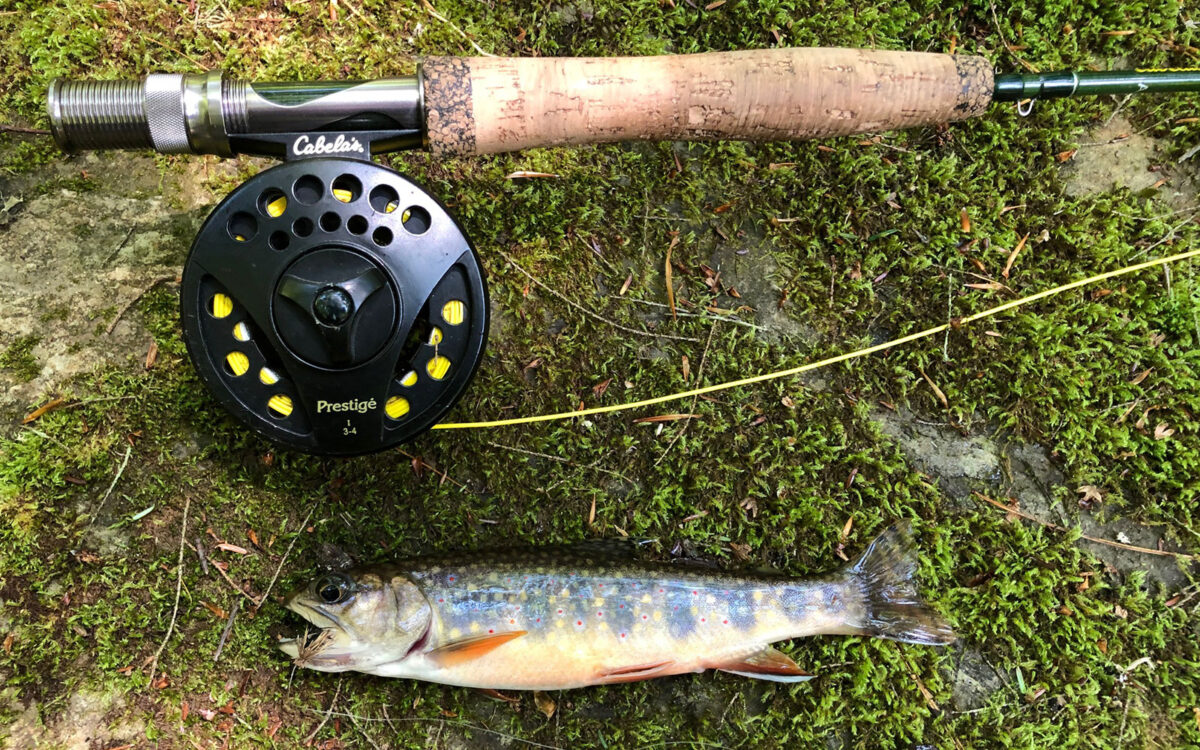 Hunting & Leasing - Three Rivers Forest Management