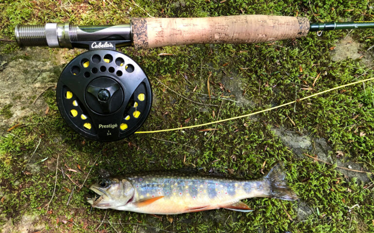 Hunting & Leasing - Three Rivers Forest Management