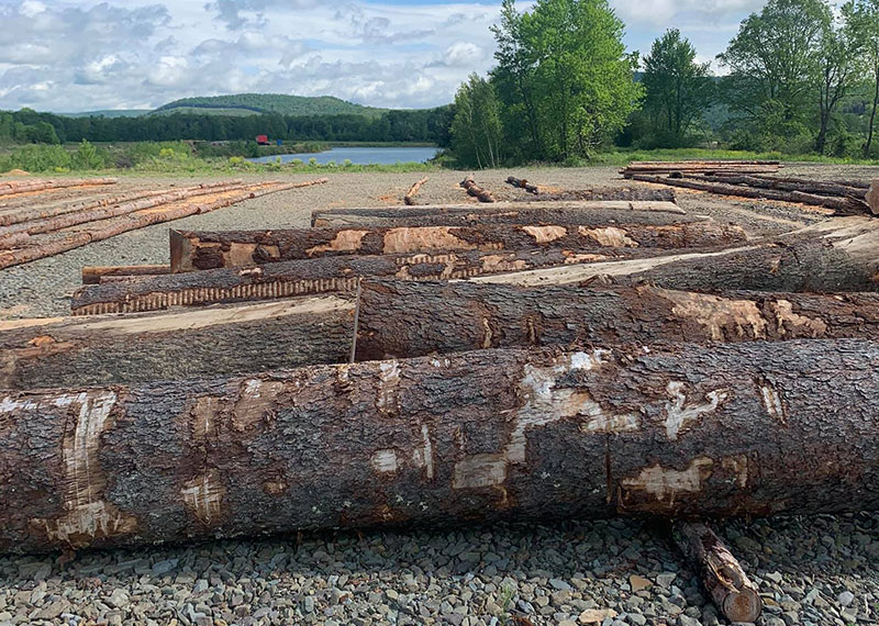 Log Marketing - Three Rivers Forest Management