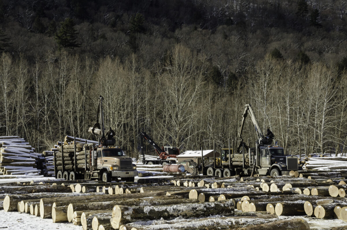 Log Marketing - Three Rivers Forest Management